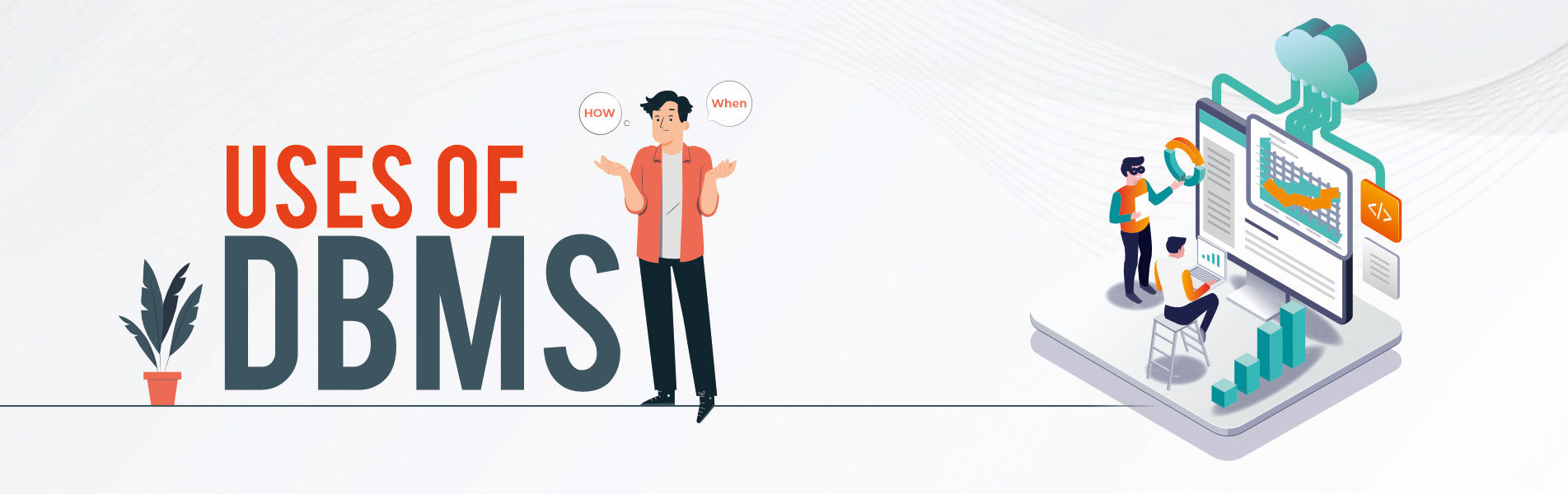 What are DBMS and its uses?